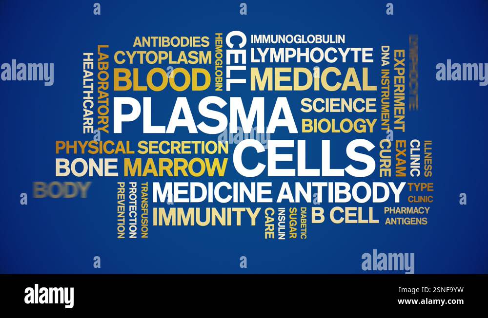 Plasma Cells animated word cloud,animation kinetic typography seamless ...