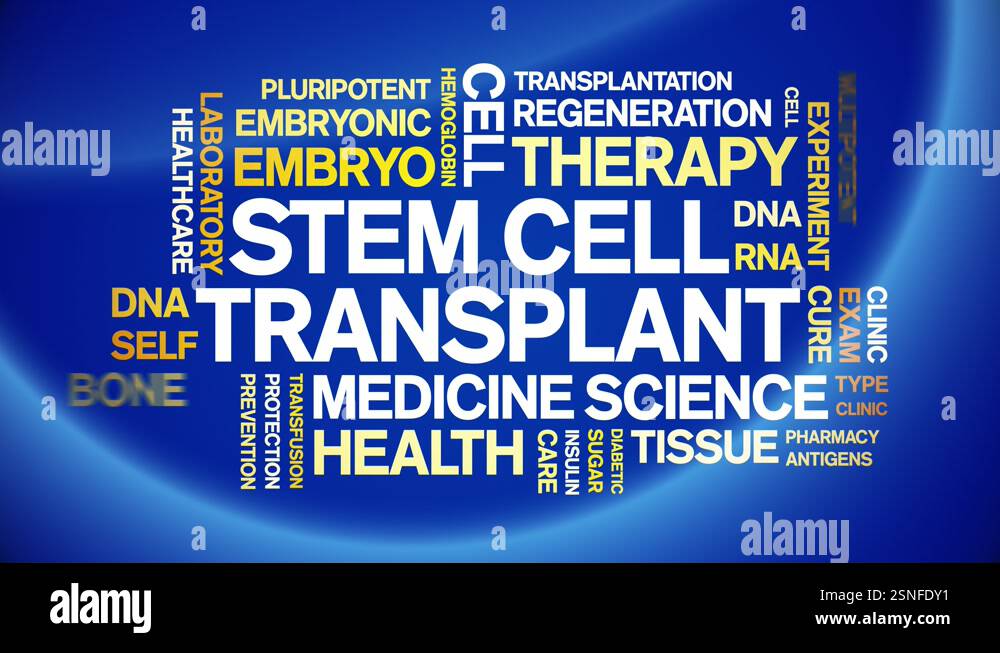 Stem Cell Transplant animated word cloud,animation tag kinetic ...