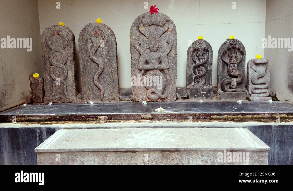 Snake temple in india Stock Videos & Footage - HD and 4K Video Clips ...