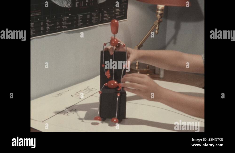 1950s: Boy and girl manipulate model of human body to curve its spine ...