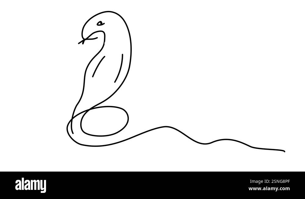 Snake one line drawing Stock Videos & Footage - HD and 4K Video Clips ...
