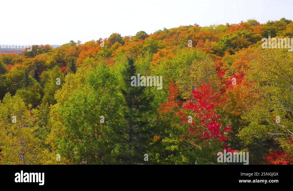 Fall foliage in breathtaking autumn Stock Videos & Footage - HD and 4K ...