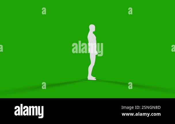 Man Standing and rotate. 3D Model, 360 Degrees rotation loop. Isolated ...