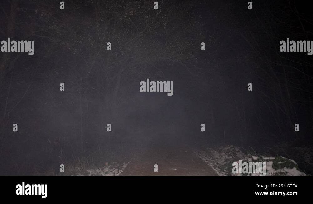 Scary walk Stock Videos & Footage - HD and 4K Video Clips - Alamy