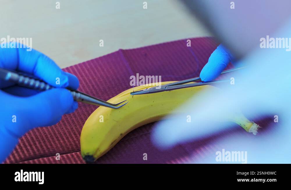 Dental techniques Stock Videos & Footage - HD and 4K Video Clips - Alamy