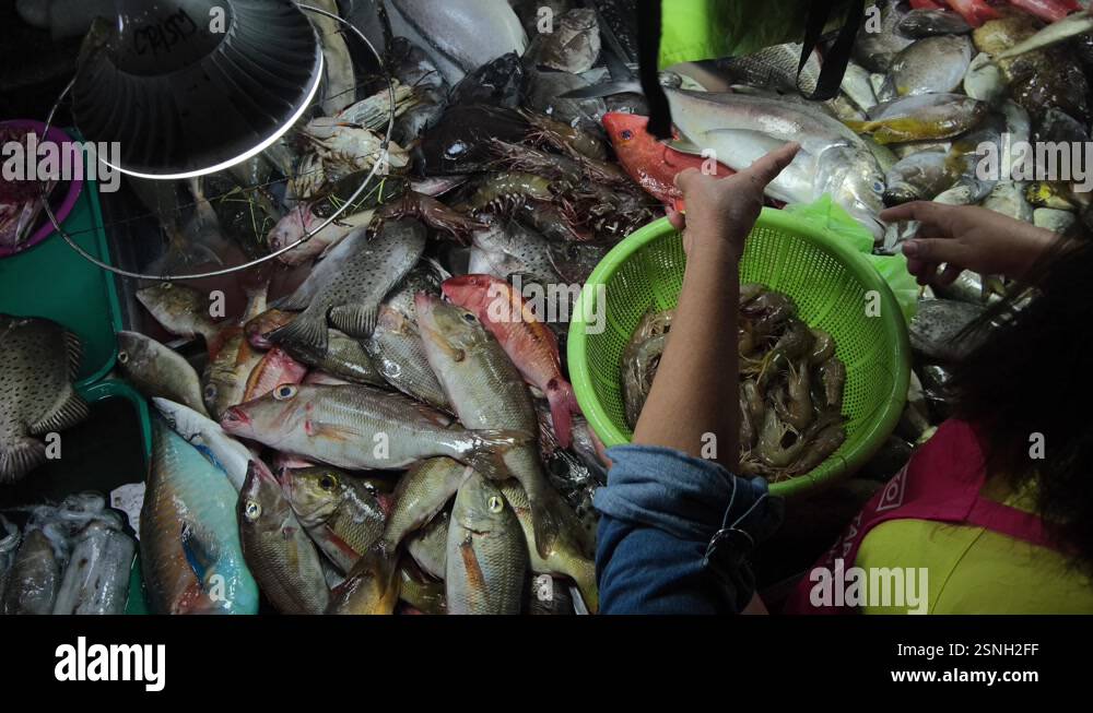 Seafood market philippines Stock Videos & Footage - HD and 4K Video ...