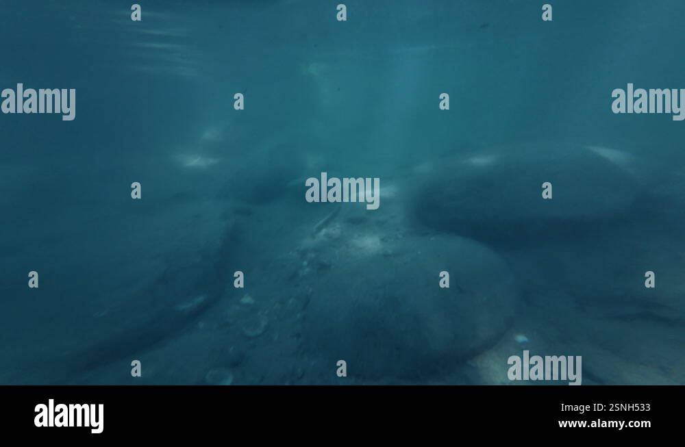 River Bottom Underwater Nature Background Stock Video Footage - Alamy