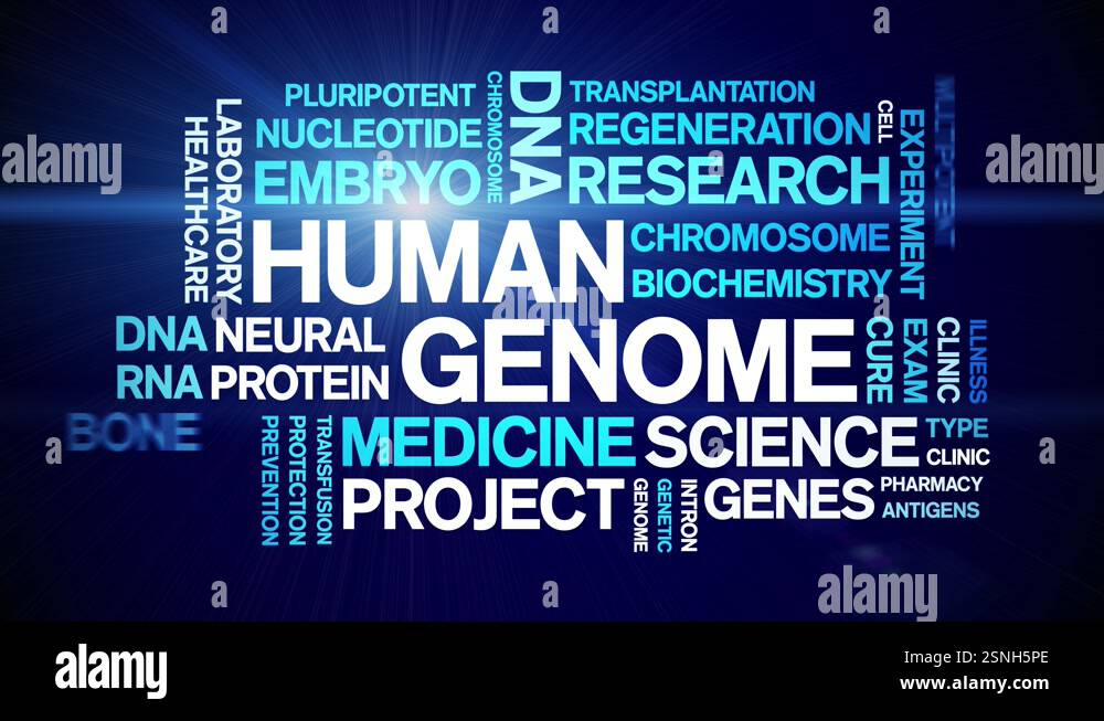 Human Genome animated word cloud,animation tag kinetic typography ...