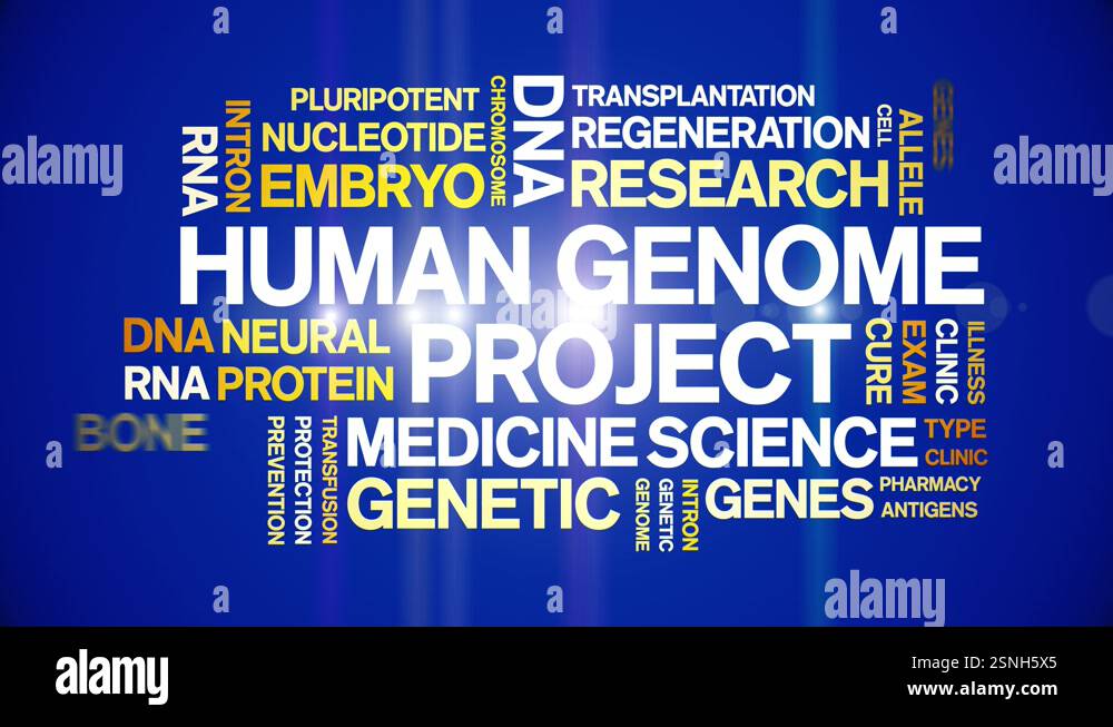 Human Genome Project animated word cloud,animation tag kinetic ...