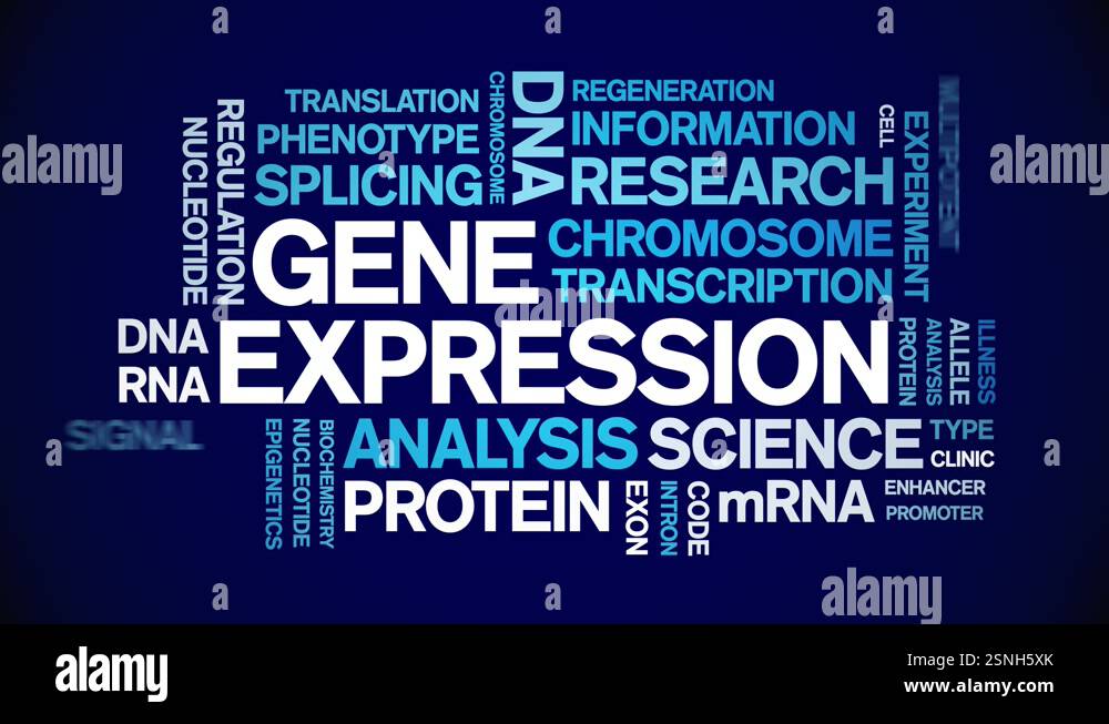 Gene Expression animated word cloud,animation kinetic typography ...