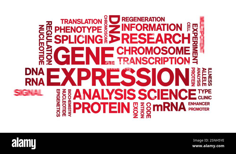 Gene Expression animated word cloud,animation kinetic typography ...