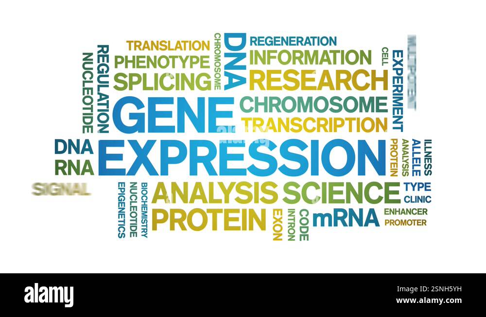 Gene Expression animated word cloud,animation kinetic typography ...