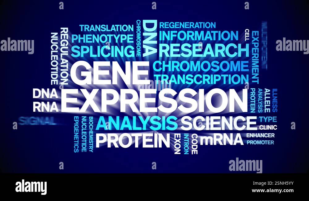 Gene Expression animated word cloud,animation kinetic typography ...