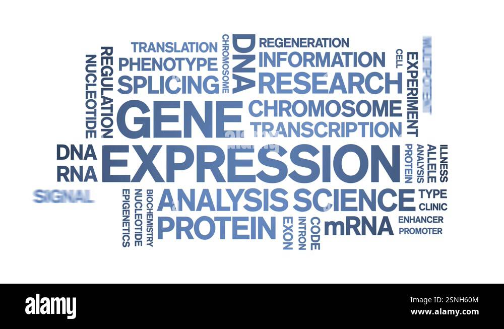 Gene Expression animated word cloud,animation kinetic typography ...