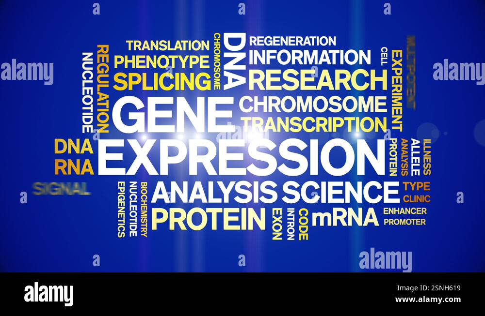 Gene Expression animated word cloud,animation kinetic typography ...