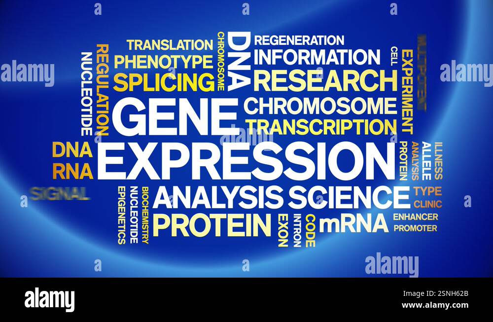 Gene Expression animated word cloud,animation kinetic typography ...