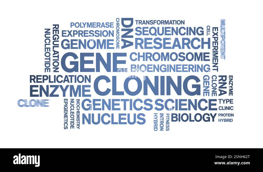 Gene Cloning animated word cloud,animation tag kinetic typography ...