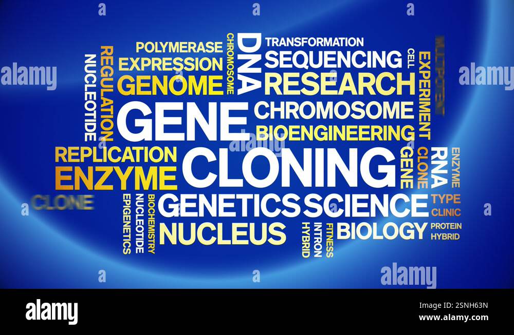 Gene Cloning animated word cloud,animation tag kinetic typography ...