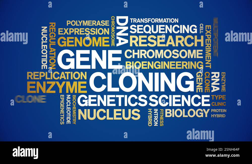 Gene Cloning animated word cloud,animation tag kinetic typography ...