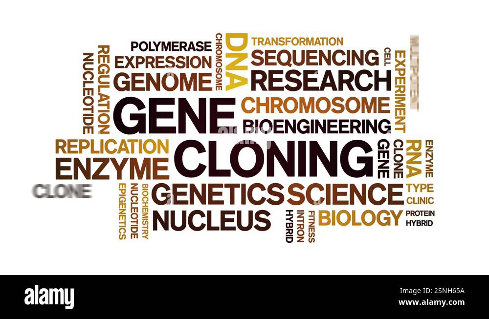 Gene Cloning animated word cloud,animation tag kinetic typography ...