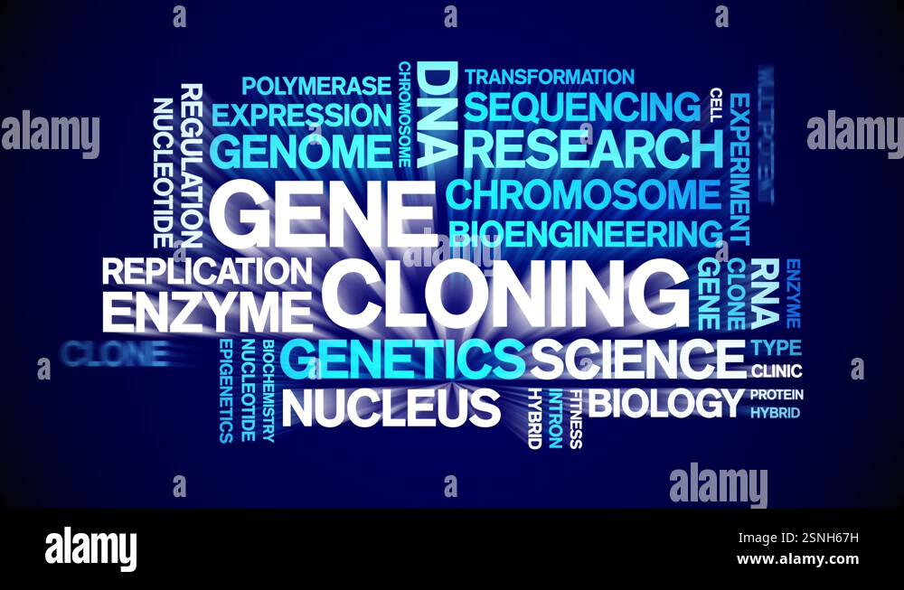 Gene Cloning animated word cloud,animation tag kinetic typography ...