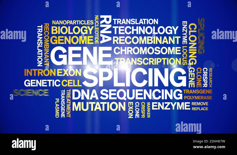Gene Splicing animated word cloud,animation kinetic typography seamless ...