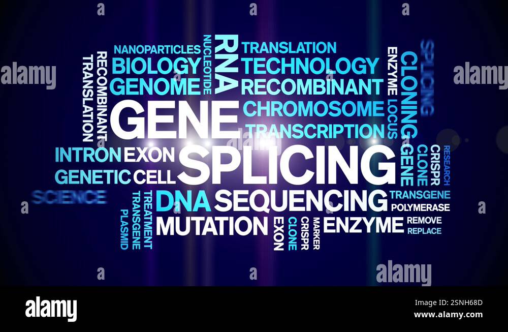 Gene Splicing animated word cloud,animation kinetic typography seamless ...