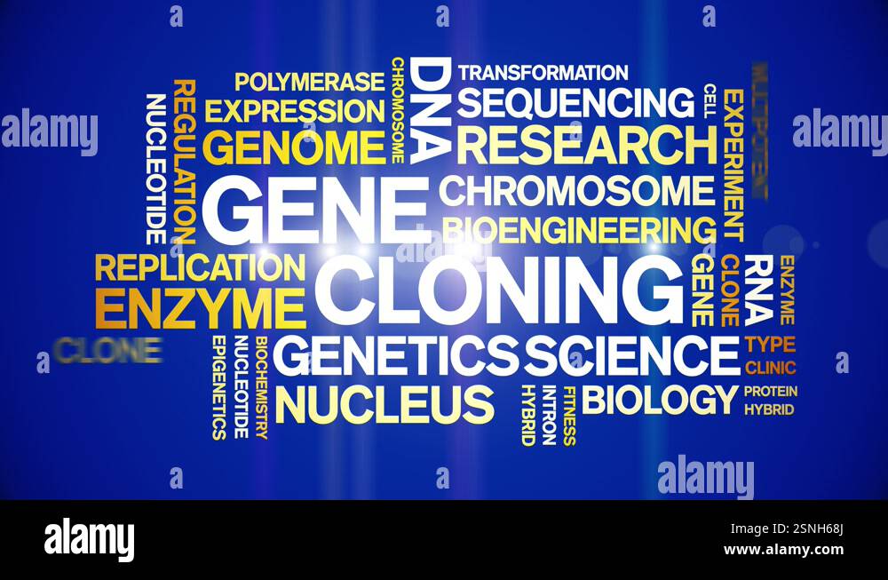 Gene Cloning animated word cloud,animation tag kinetic typography ...