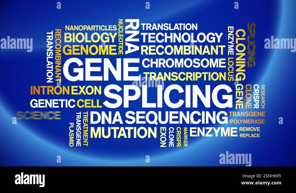 Gene Splicing animated word cloud,animation kinetic typography seamless ...