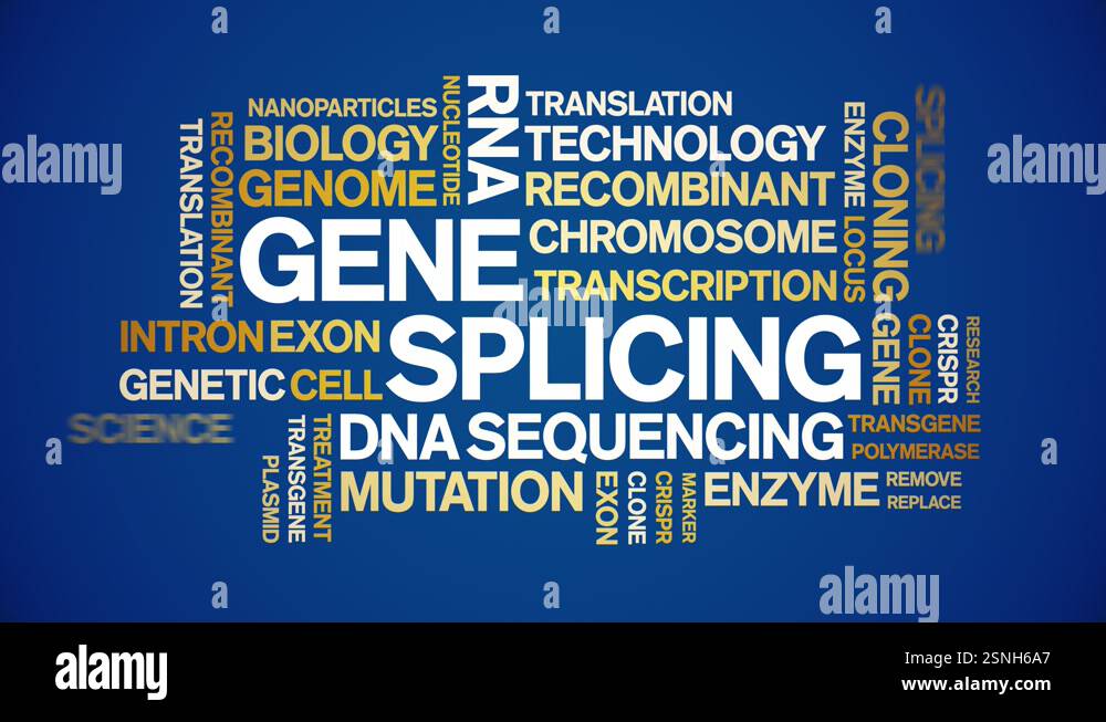 Gene Splicing animated word cloud,animation kinetic typography seamless ...