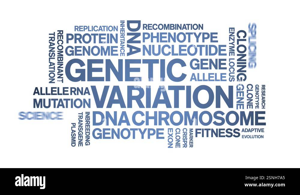 Genetic Variation animated word cloud,animation tag kinetic typography ...