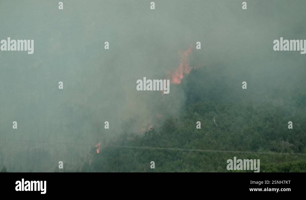A large wild fire destroys rare fynbos biome in South Africa Stock ...