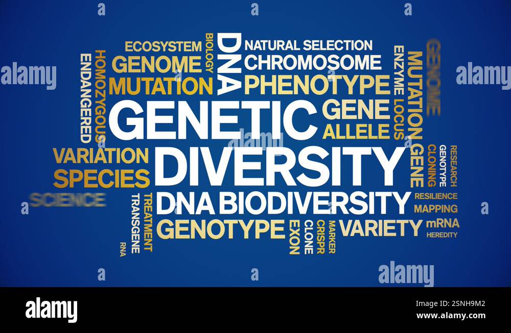 Genetic Diversity animated word cloud,animation kinetic typography loop ...