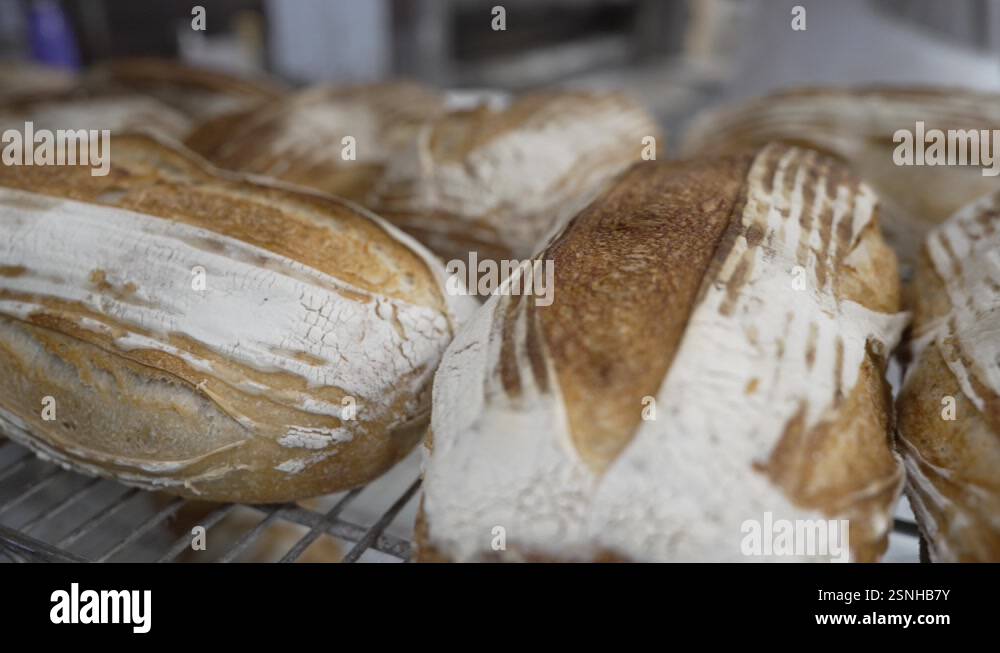 A woman rolling dough in a private bakery, captured in 4K resolution at ...