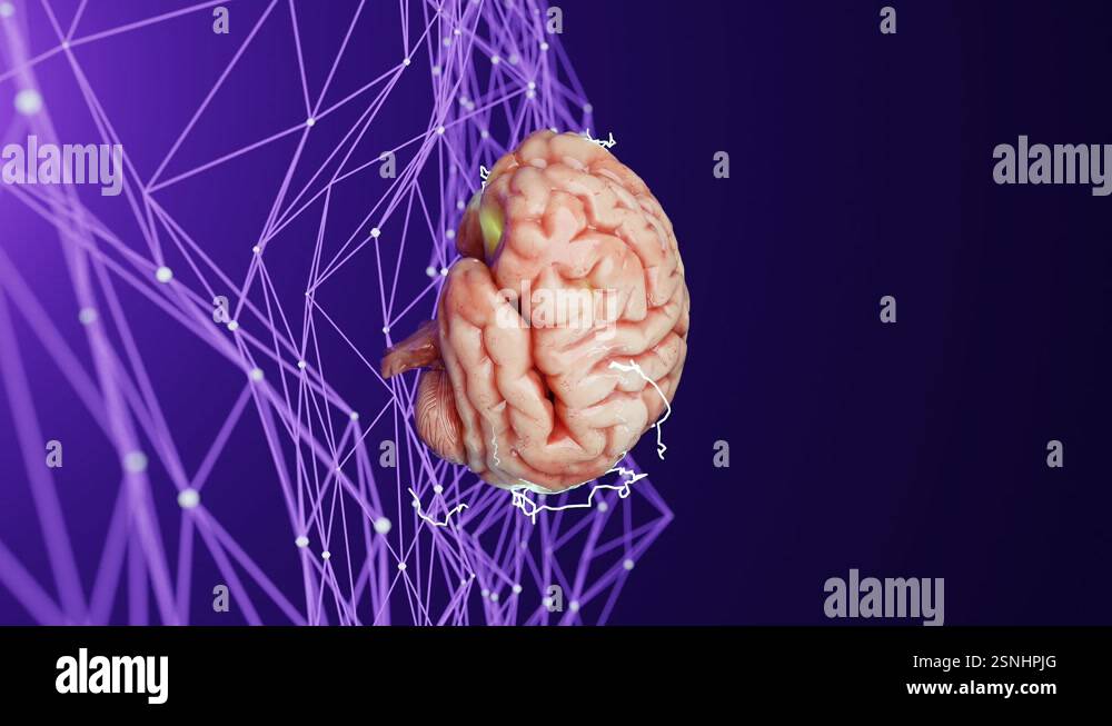 Human brain floating above a neural network with interconnected lines ...