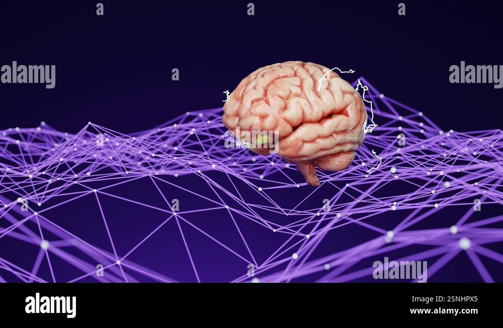 Human brain floating above a neural network with interconnected lines on a Stock Video Footage ...