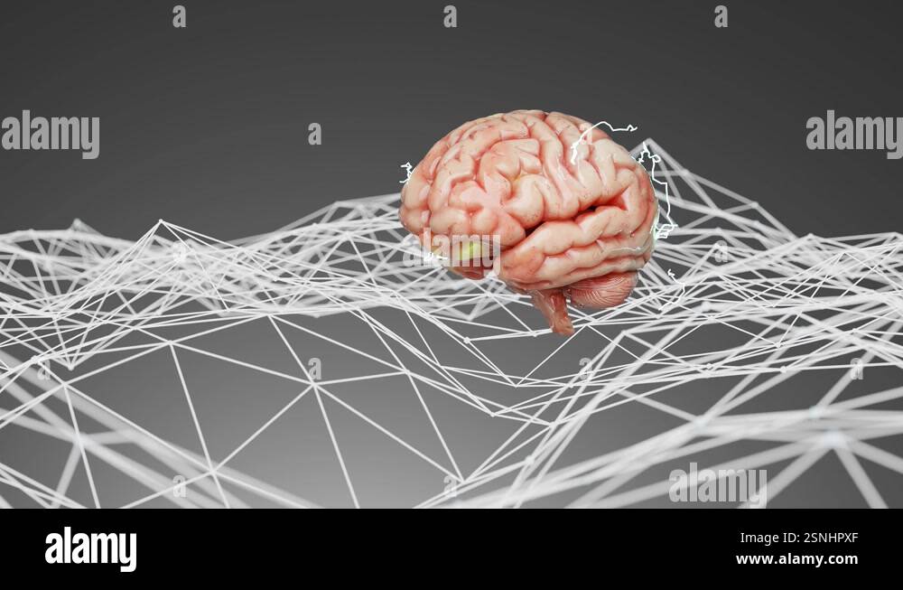 Human brain floating above a neural network with interconnected lines on a Stock Video Footage ...
