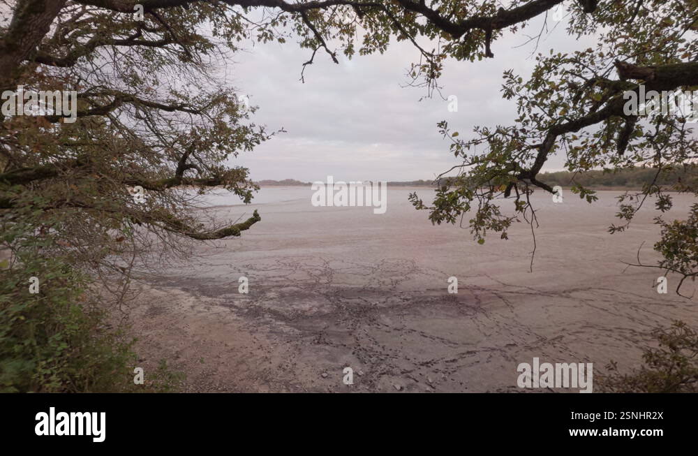 Profile view of Pond of La Mer Rouge (The Red Sea), next to the town of ...
