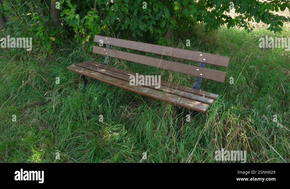 Wood bench inside park with tall grass, unmaintained public space ...