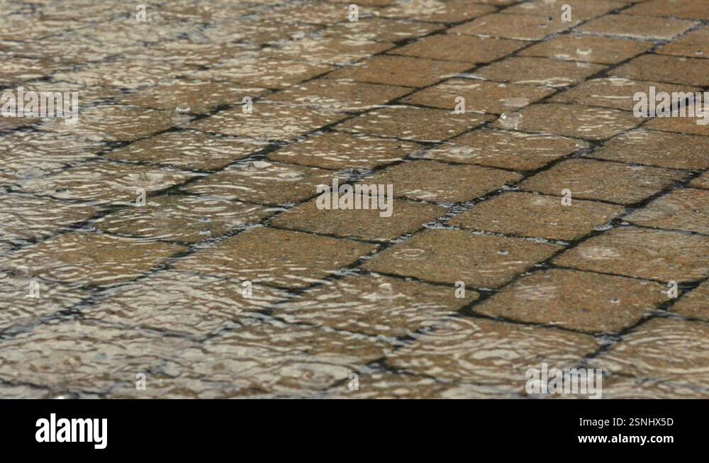 Close up tiles Stock Videos & Footage - HD and 4K Video Clips - Alamy