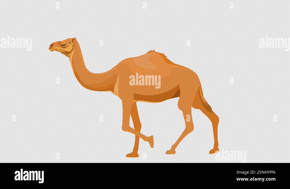 Cycle even Stock Videos & Footage - HD and 4K Video Clips - Alamy