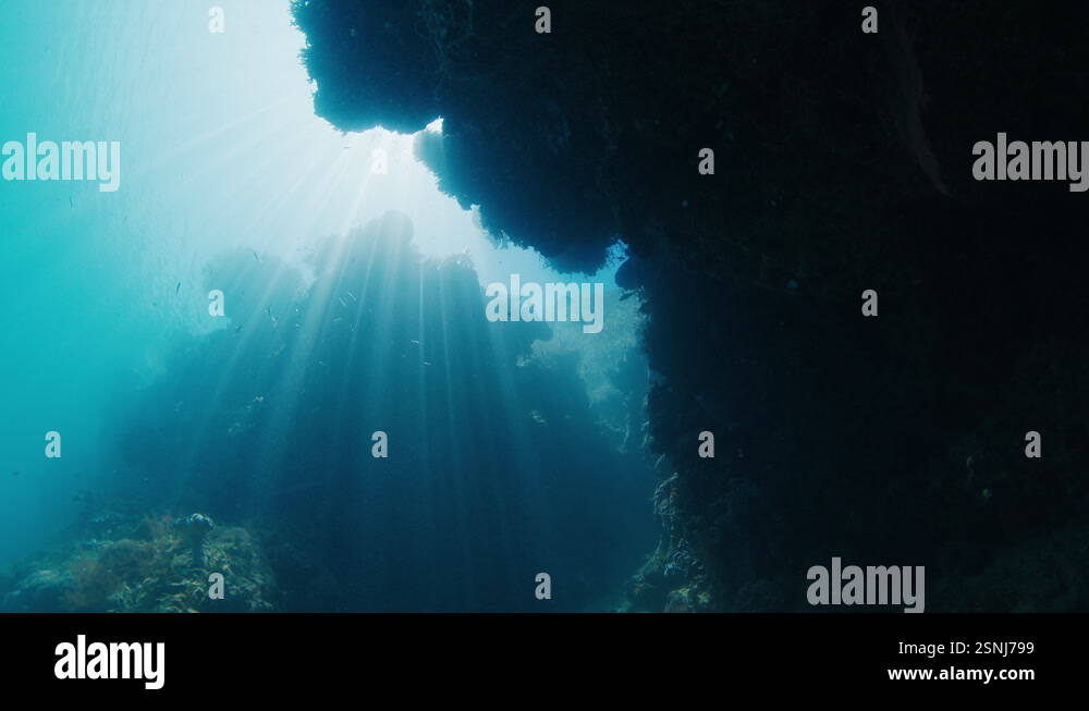 Underwater cave ceiling Stock Videos & Footage - HD and 4K Video Clips ...