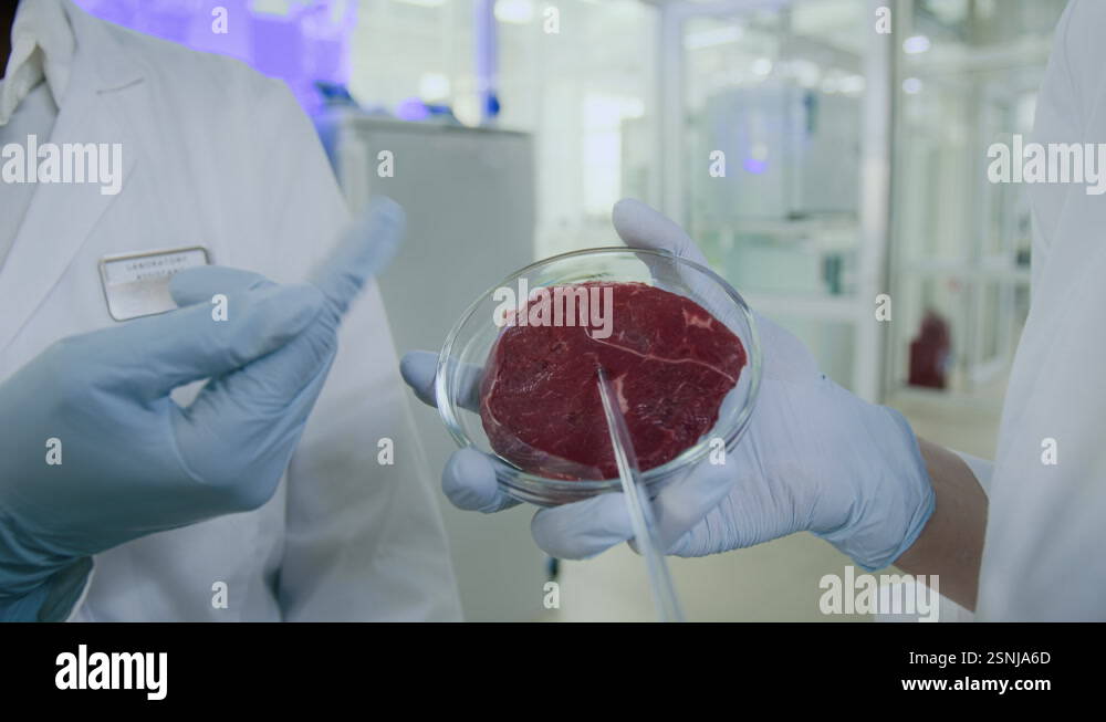 Two Unrecognisable Food Scientists Analysing Piece of Lab-Grown Red ...