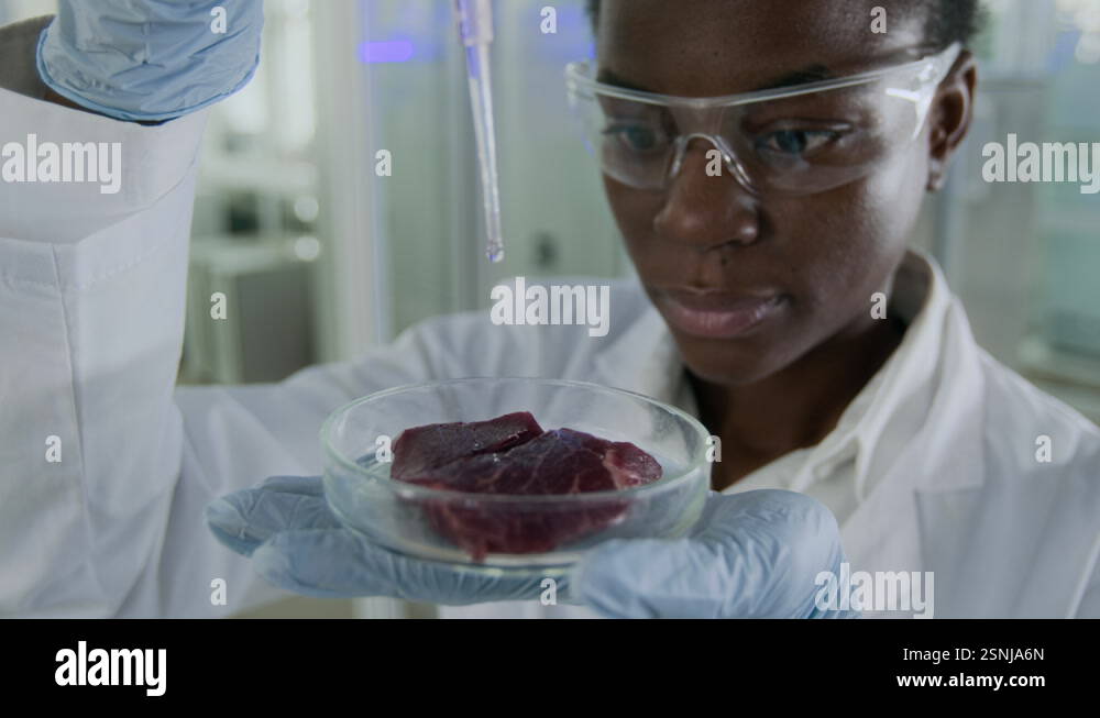 Researcher Testing Meat for Infection Dripping Solution from Pipette on ...