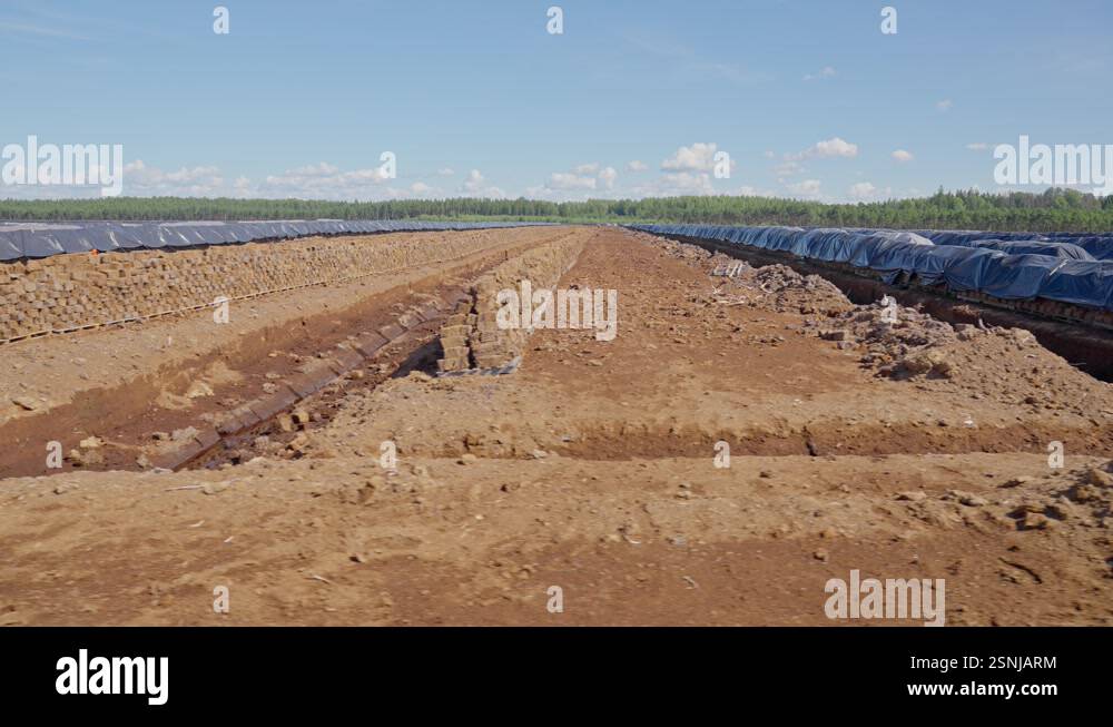 Rows of drying peat in open field with irrigation ditches for ...