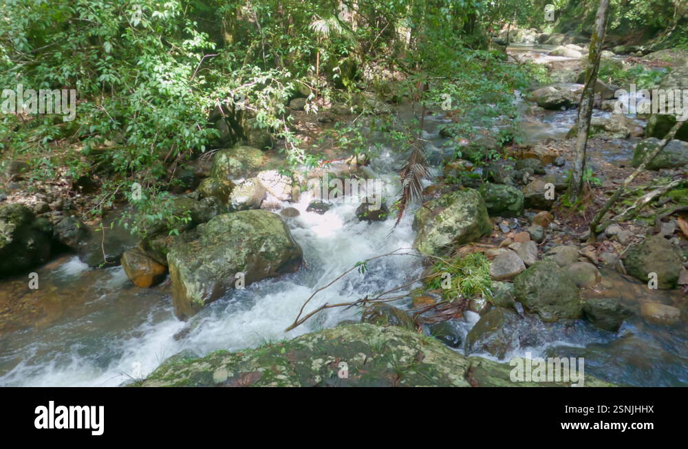 Dynamic scenery Stock Videos & Footage - HD and 4K Video Clips - Alamy