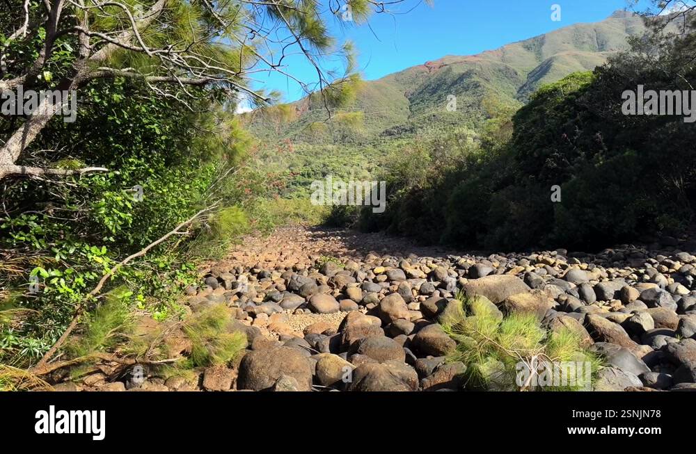 A dried-up riverbed stretches across the bottom of a gorge under bright ...