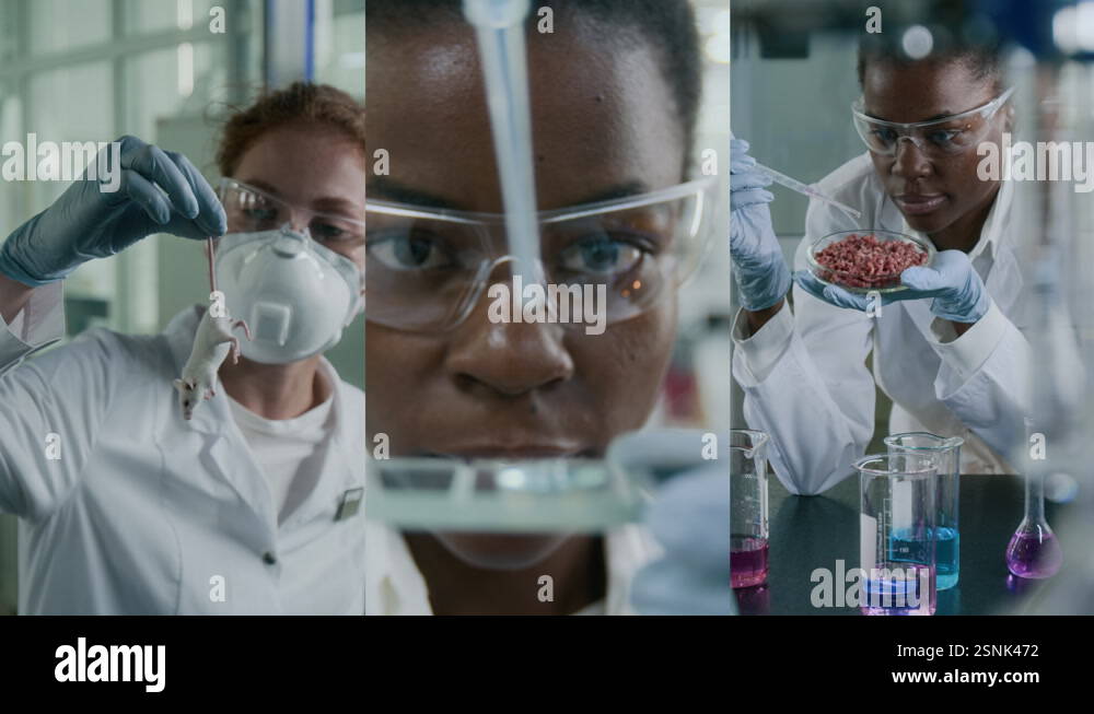 Split Screen of Food Scientist Carrying out Experiment, Biologist ...