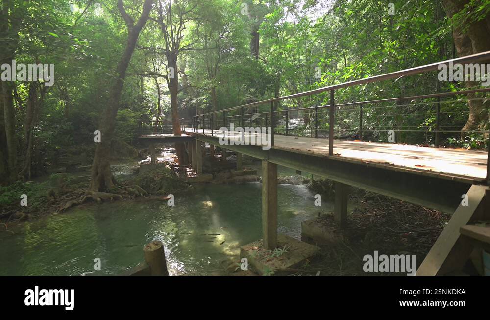 Jungle bridge Stock Videos & Footage - HD and 4K Video Clips - Alamy