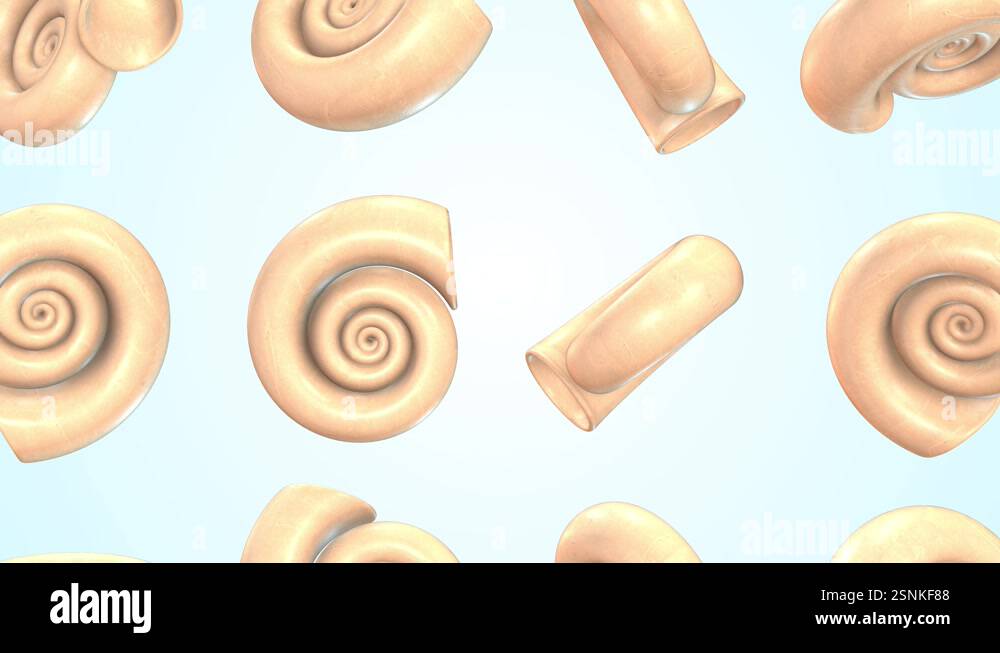 Set of Shells Falling on a Light Blue Background. Snail Shells 3D ...